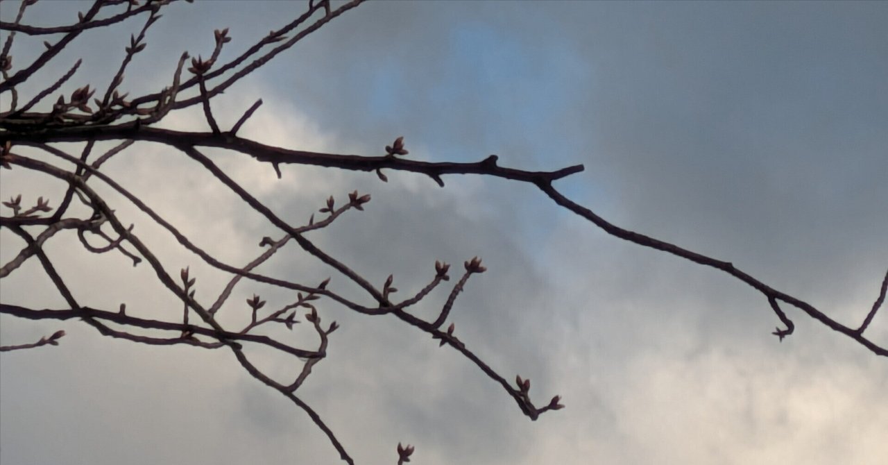 2巻237番〜作者 志斐嫗｜ichiro70