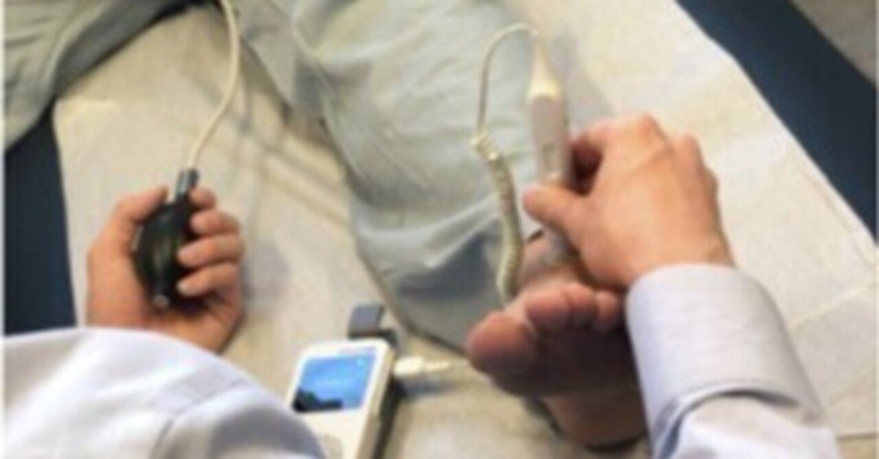 20240326: ACL・一次修復・内部ブレース・生体力学的研究｜Brain storm conditioning 〜 脳からコンディショニング