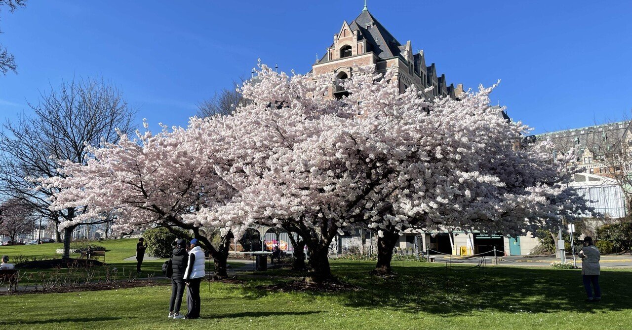 勤務していたダイソーが閉店した｜てんてふ@バンクーバー