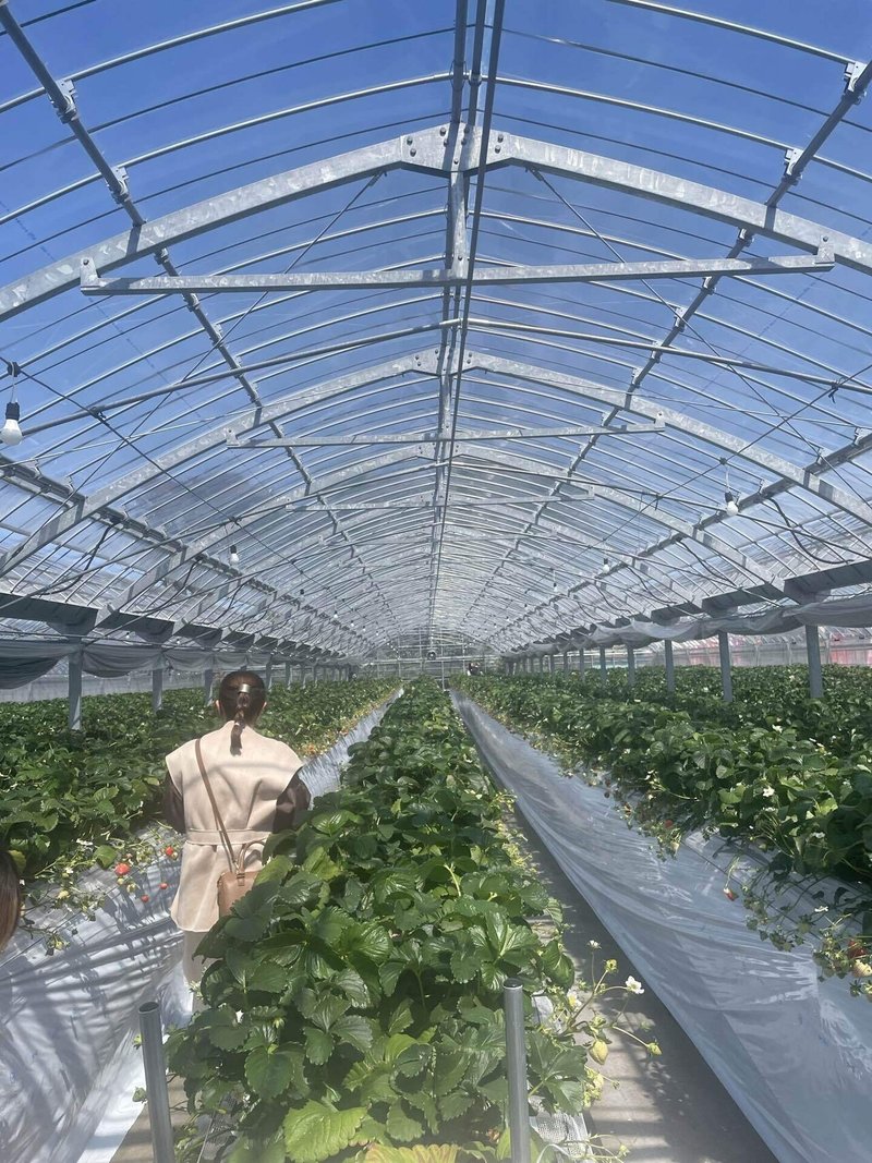 3/27(‪🔆)｜Lily_2525