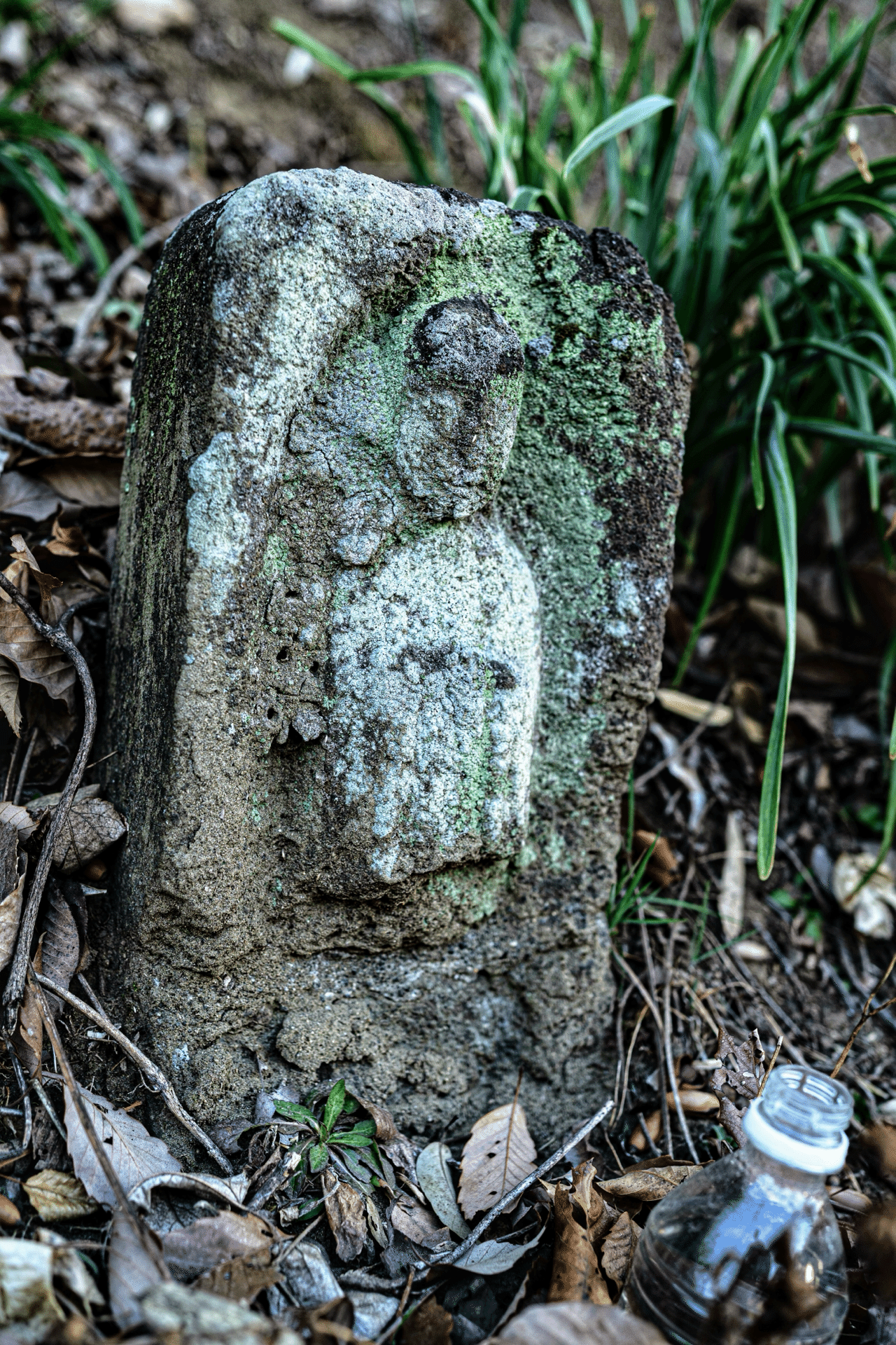 菩薩｜Yutaka Kano