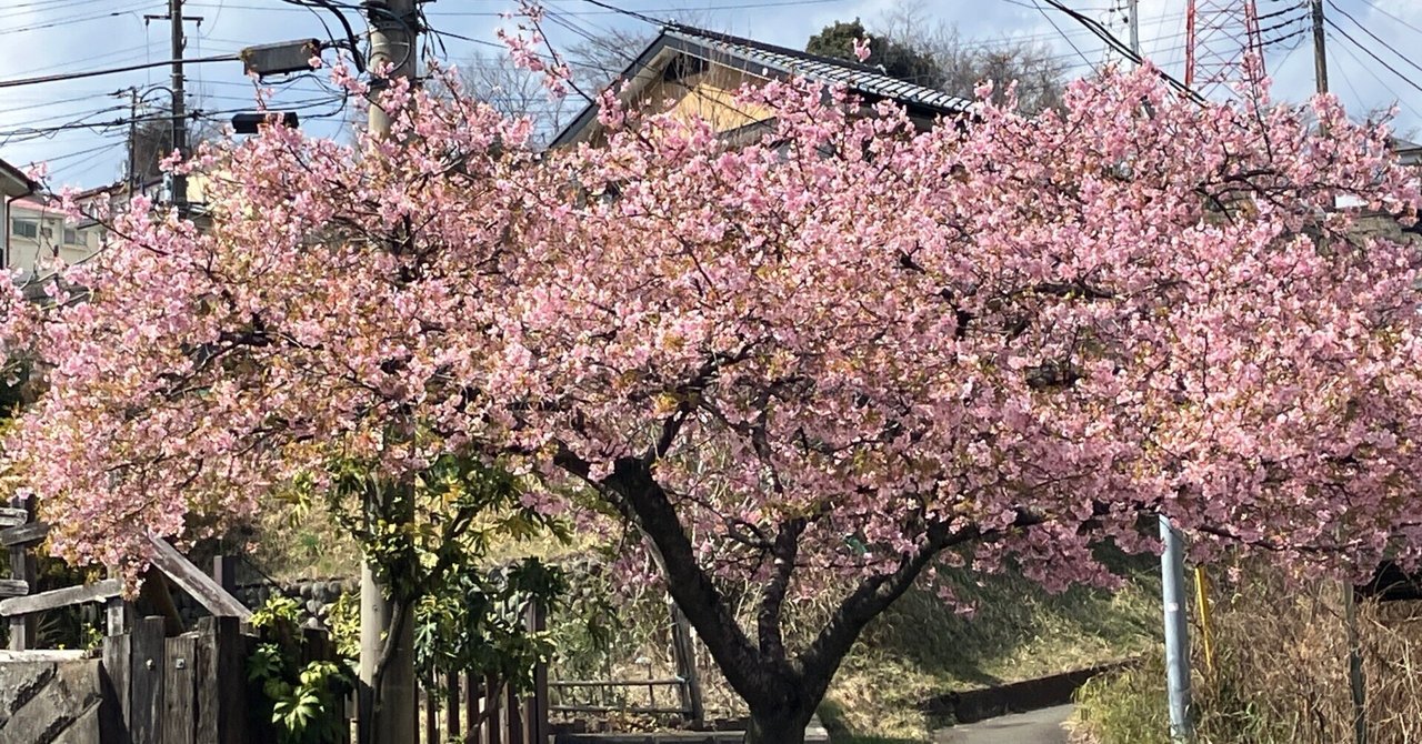 ふと・・・思う｜poporin