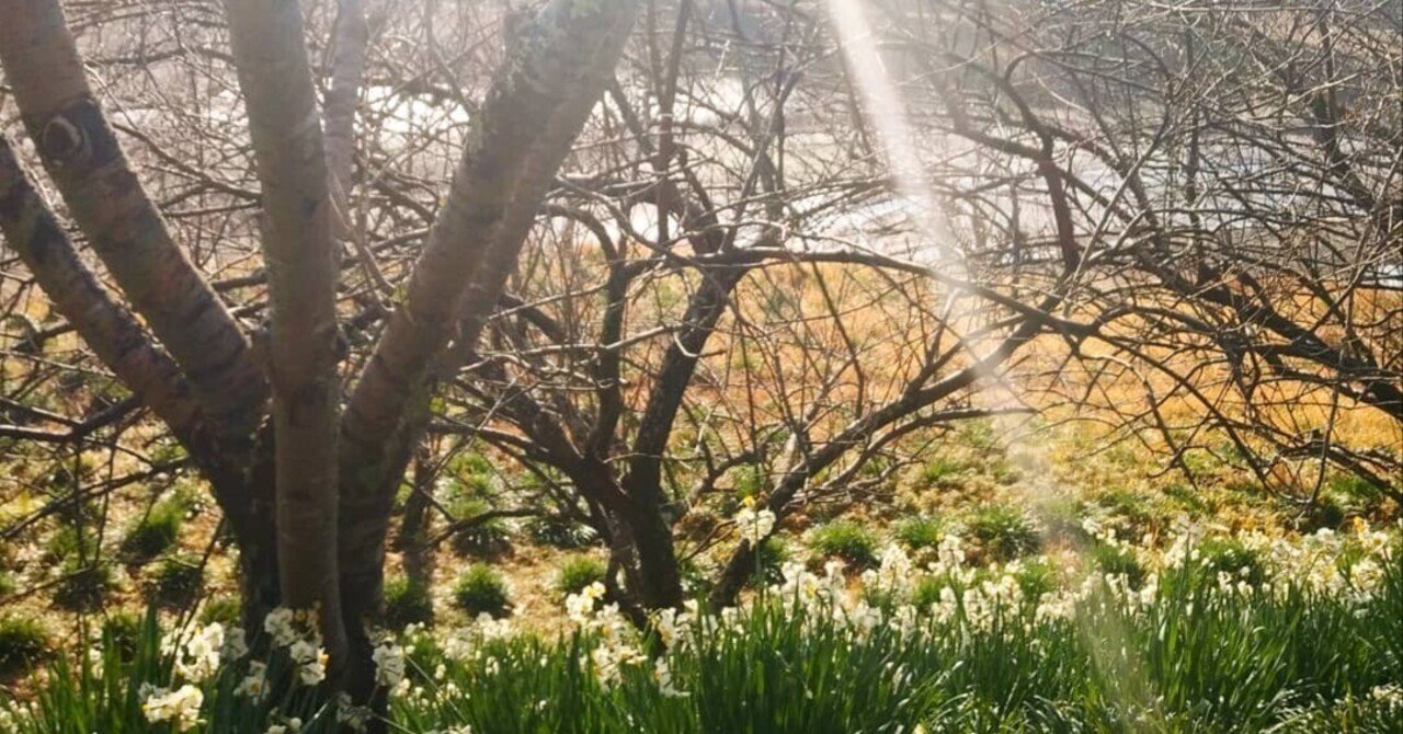 はじめましてのtiki note。｜tiki