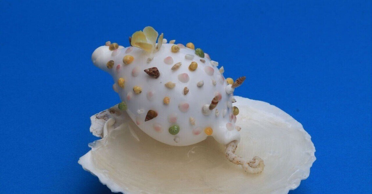 「ハナデンシャ」｜zoo_shell