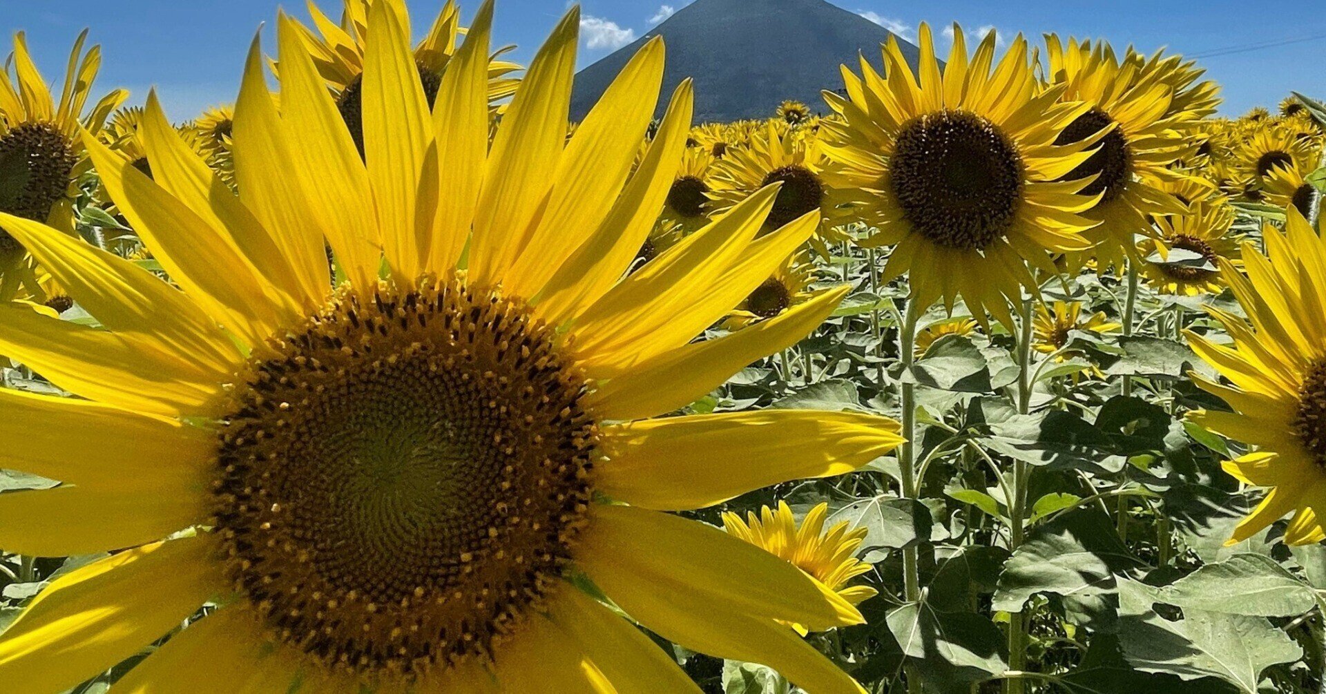 Isamu Yoshida｜note