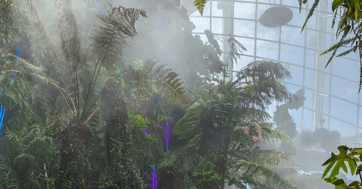 濵野 優貴 / Hamano Masaki｜note