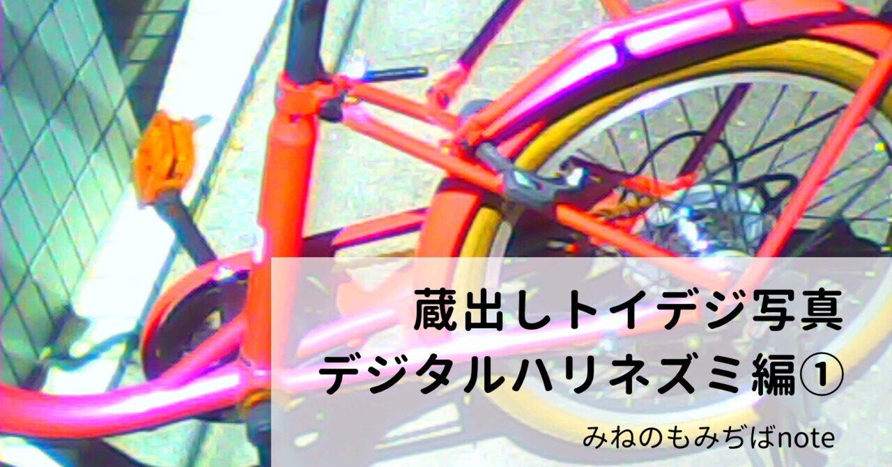 蔵出しトイデジ写真 デジタルハリネズミ編①|みねのもみぢば 蔵出しトイデジ写真 デジタルハリネズミ編①|みねのもみぢば