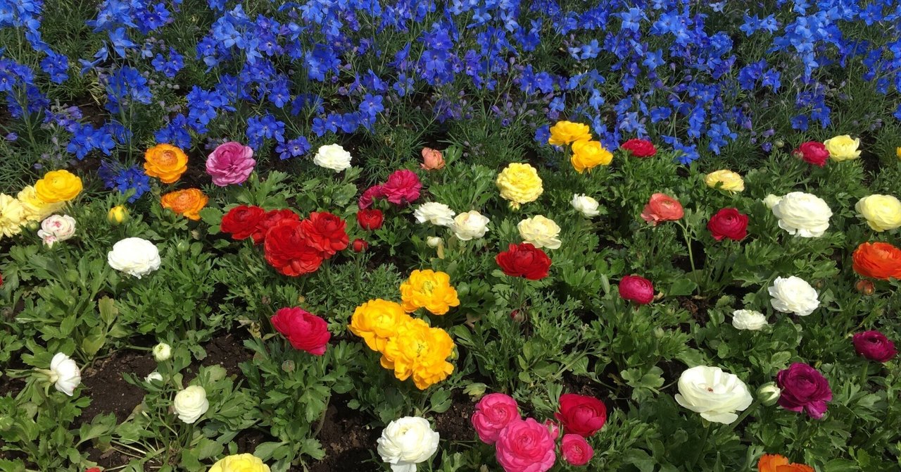 人生は全て、自分の選択｜Eiko