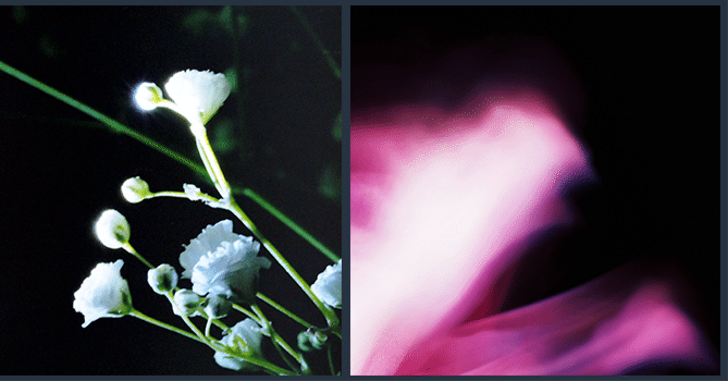 michi★写真×NFT｜note