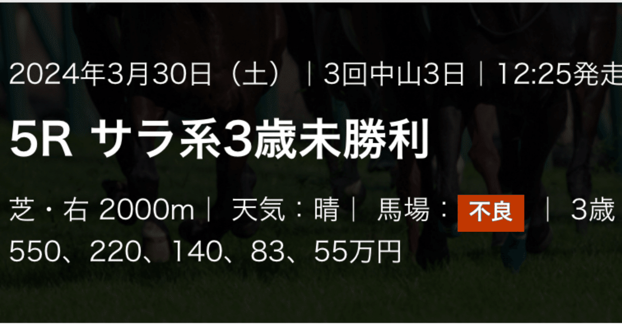 2024年3月30日／ 中山5R ／ AIシステム無料予想｜ceo_desu