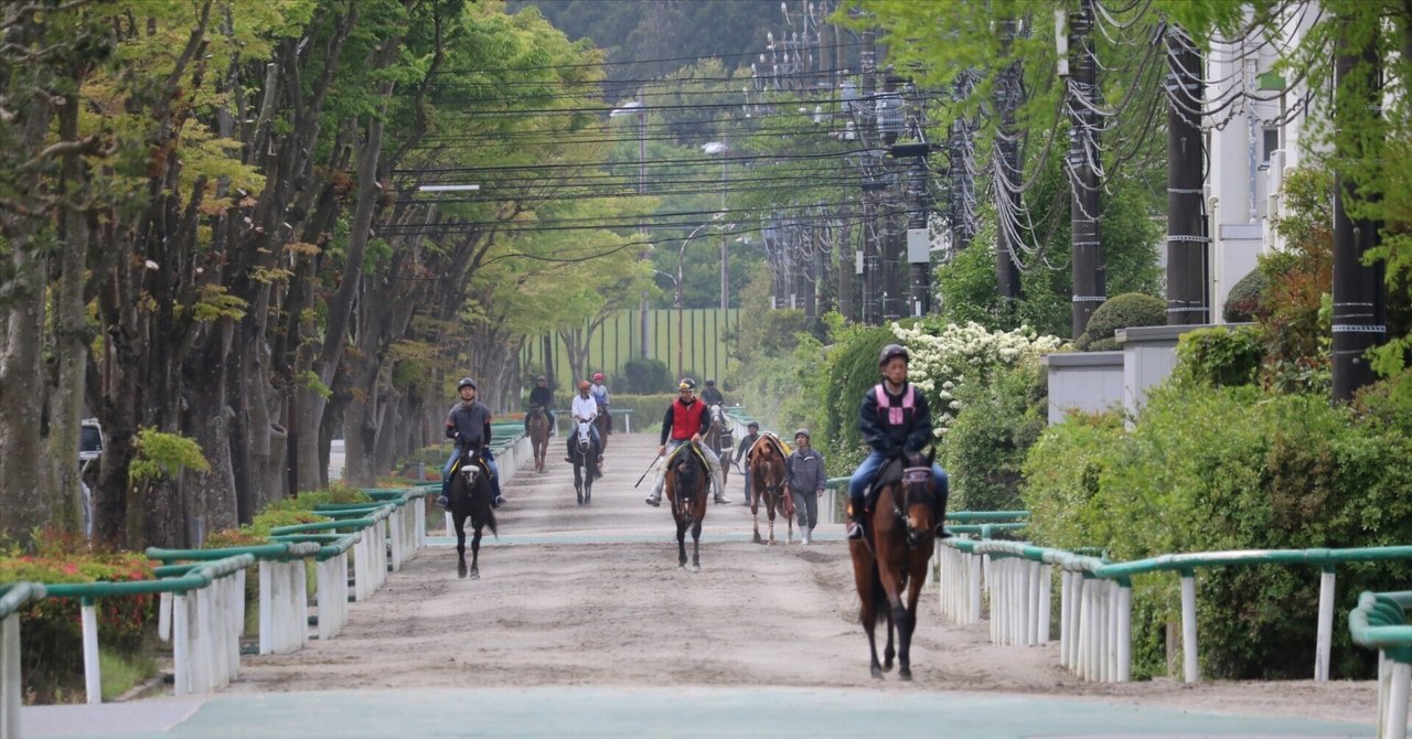 ダービー卿ct＆勝負馬｜競馬裏の裏t