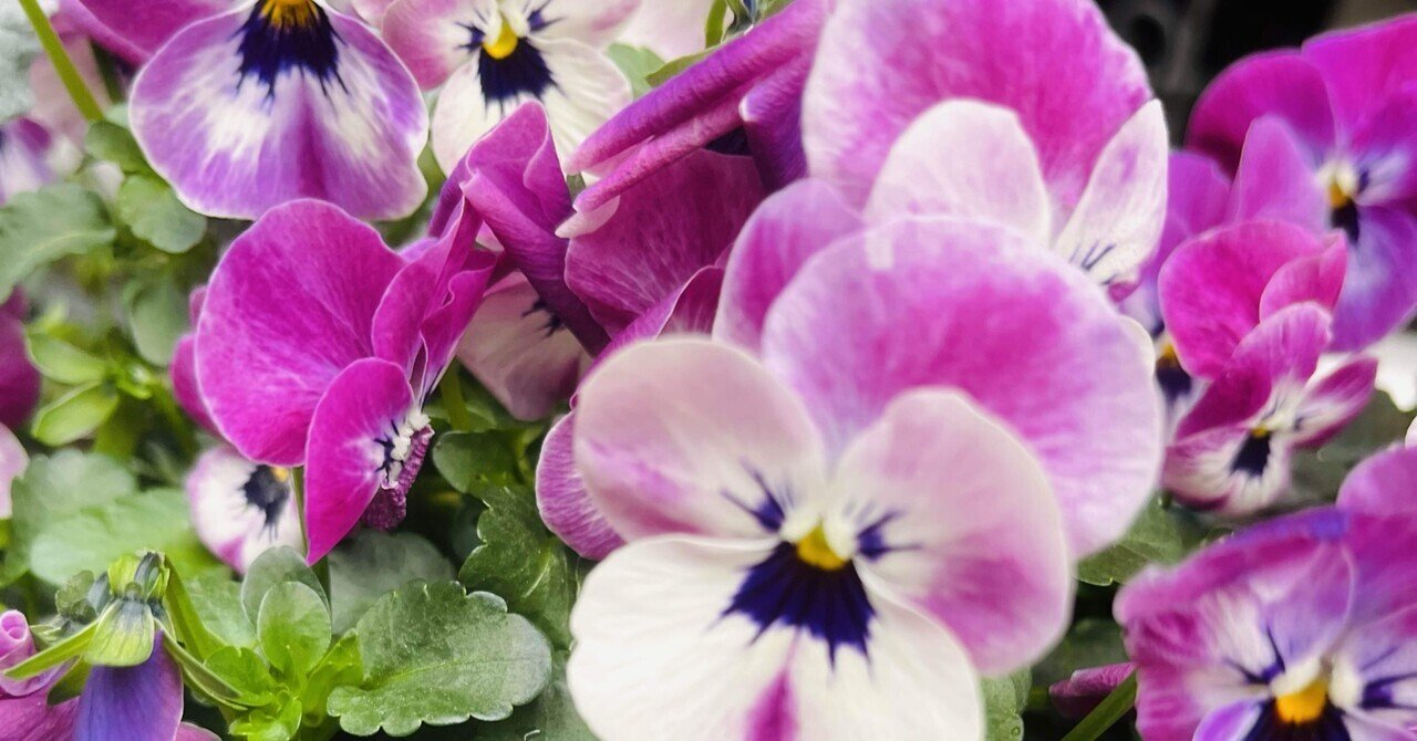 prankish/Tomo｜note