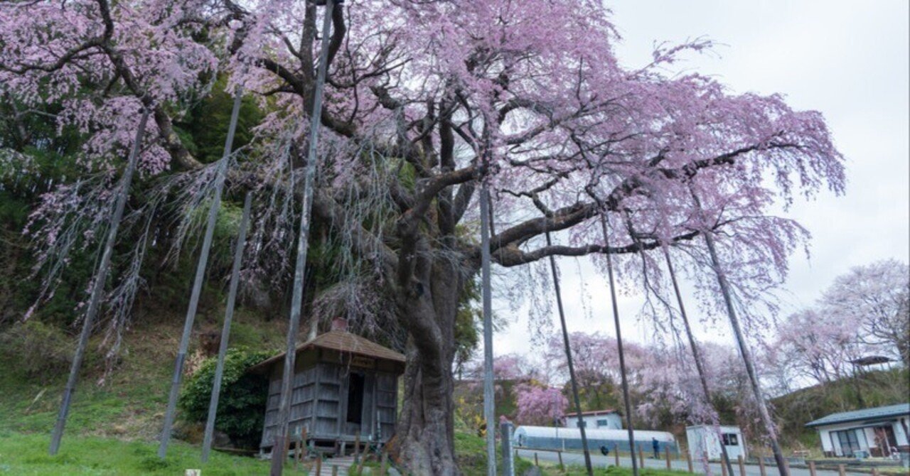 すみあやか＠fl-ayaka(flayaka)@表現者｜note