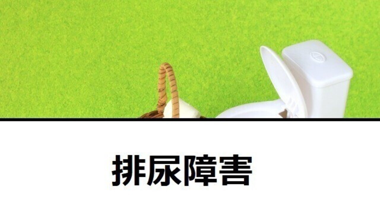 もっと楽々コピペで立案！排尿障害の看護計画｜なんでなんだナーシング30 ～看護師・看護学生のための超まとめサイト～