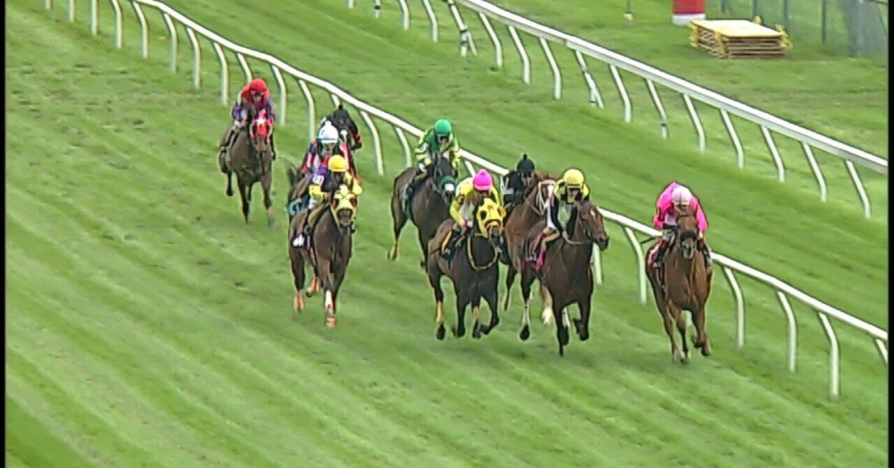 【🔥🚀🚀激熱勝負レース🔥🚀🚀】【中山8r】4歳以上2勝クラス💰｜さやだま