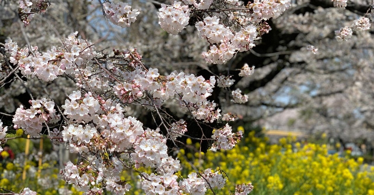 MNTSQ, Ltd.（モンテスキュー）