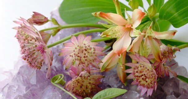 tabito☆note【エッセイ】｜tabito｜note