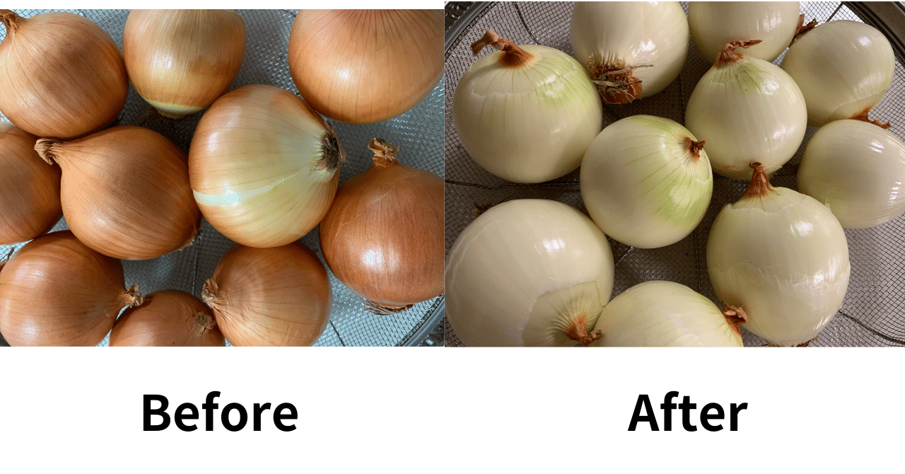 最近、#やってみています。｜rie_mtc