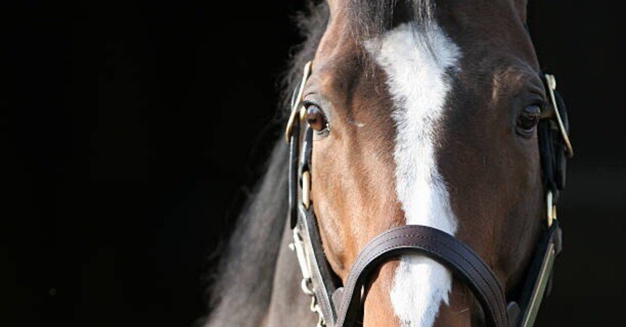 佐賀4R 16:48締切🐎🔥伸びる🐎🔥｜寿