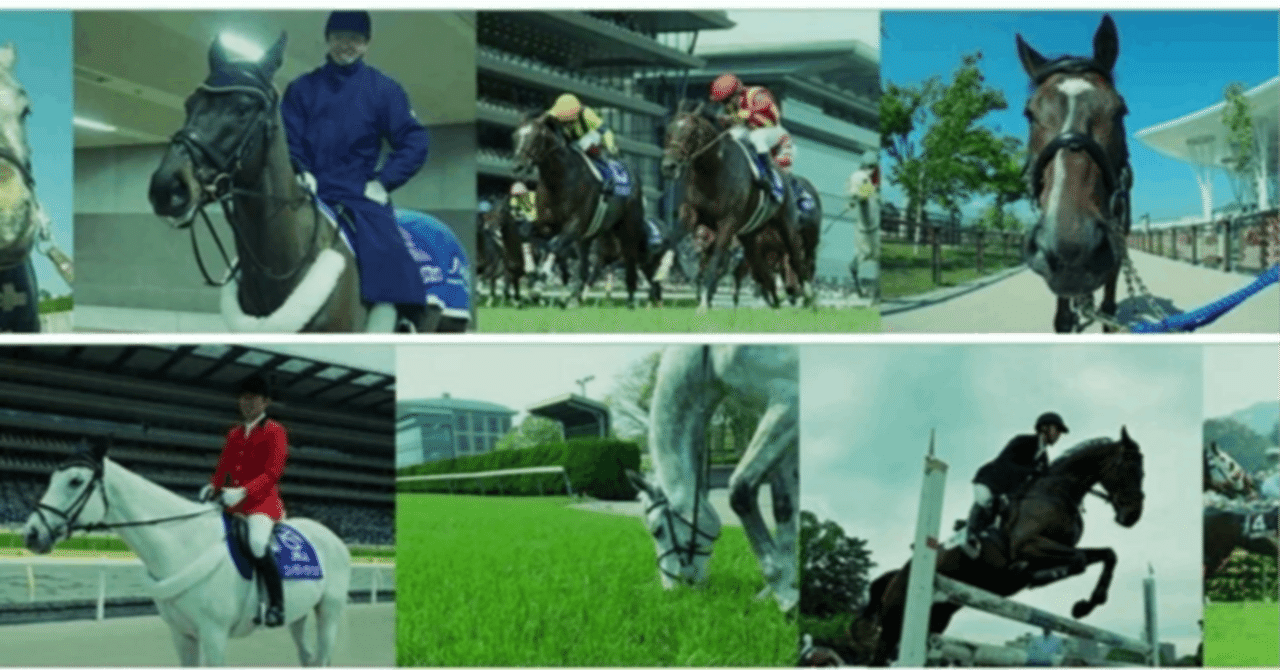 3/31（日）中山8R 「SSS勝負レース」⌚💰13時40分～ 最強のAI競馬予想 🏇おすすめ馬券の解説有り ＃競馬｜まい競馬 少数で当てる競馬予想