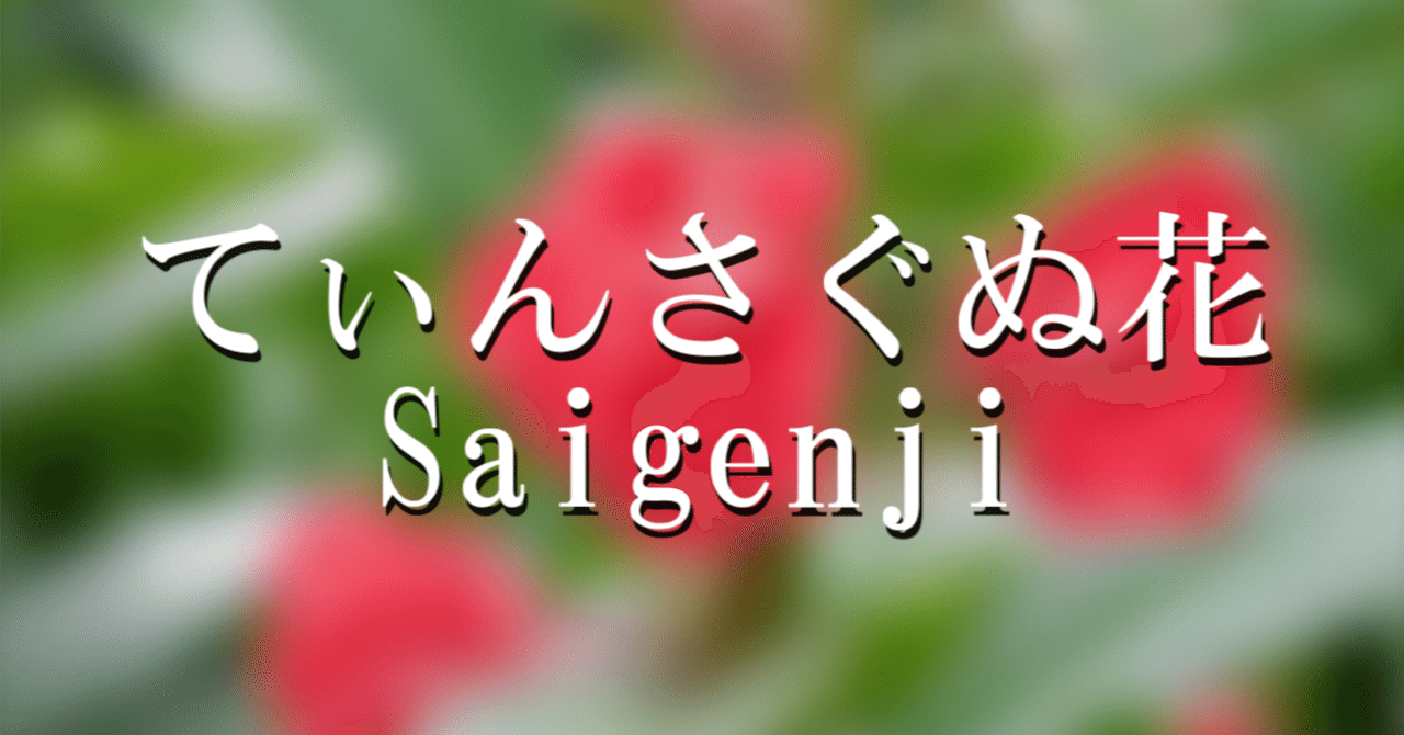 Saigenji「てぃんさぐぬ花」(3月29日)｜敬和キャンパスレポ