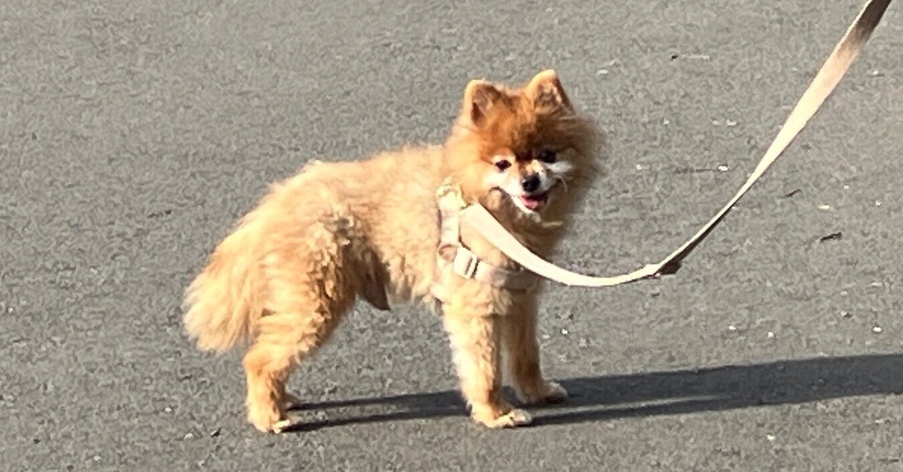 ふと・・・思う｜poporin