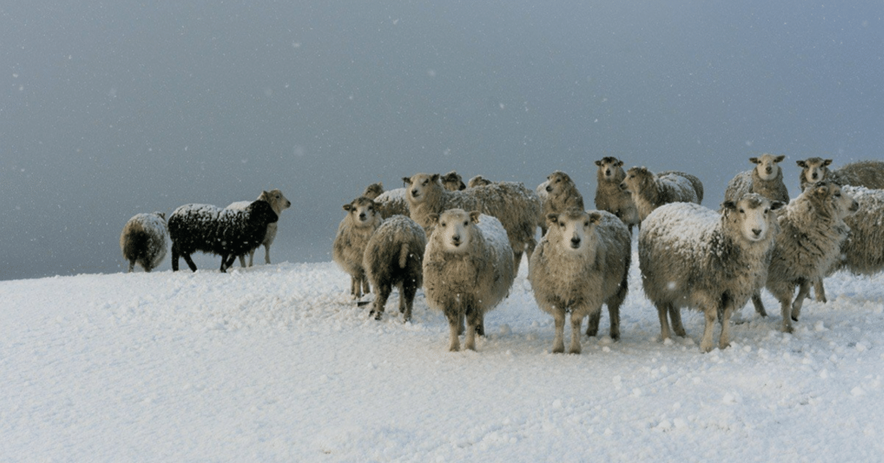 明日へ出来る事｜sevenzen