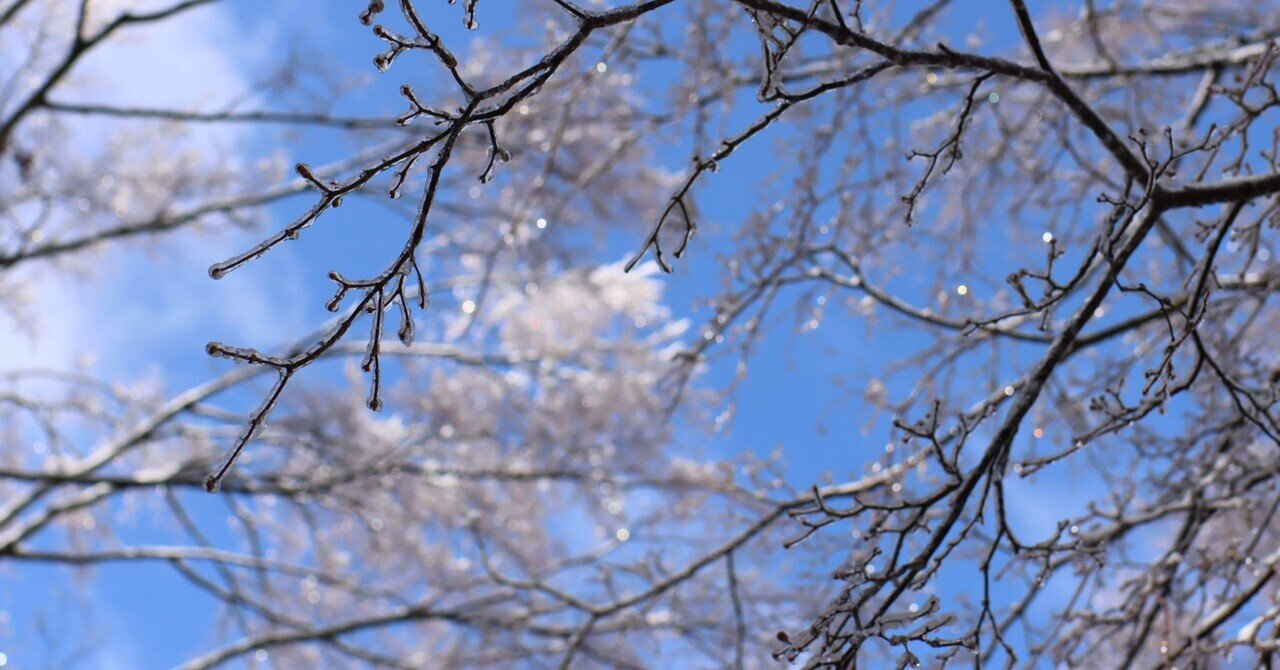 自然に埋没して見えるもの｜Tomoharu