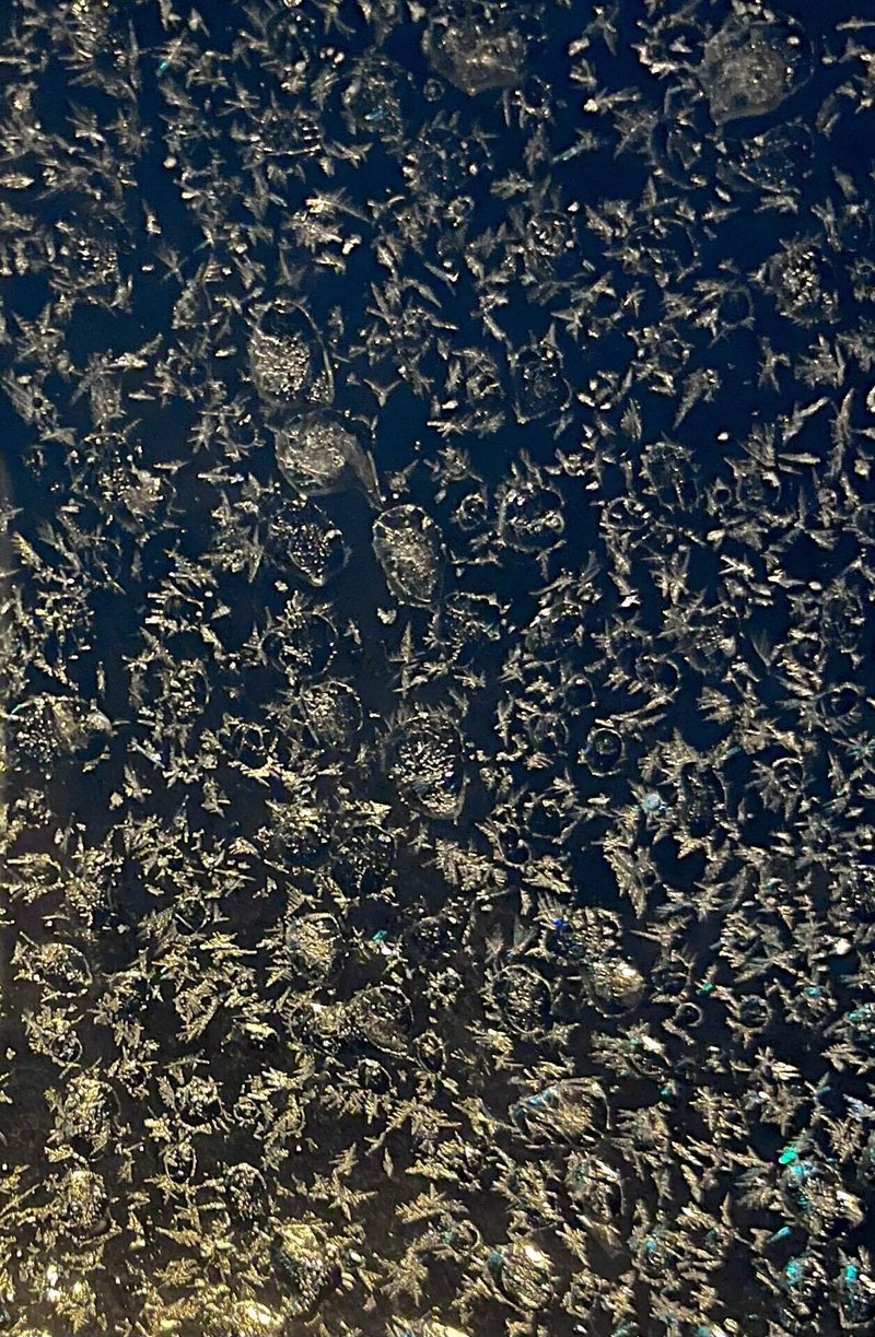 自然に埋没して見えるもの｜Tomoharu