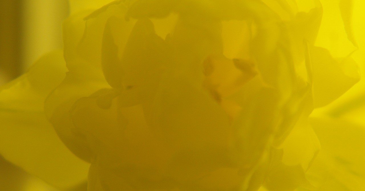 花みくじ｜Cosmic Suzu