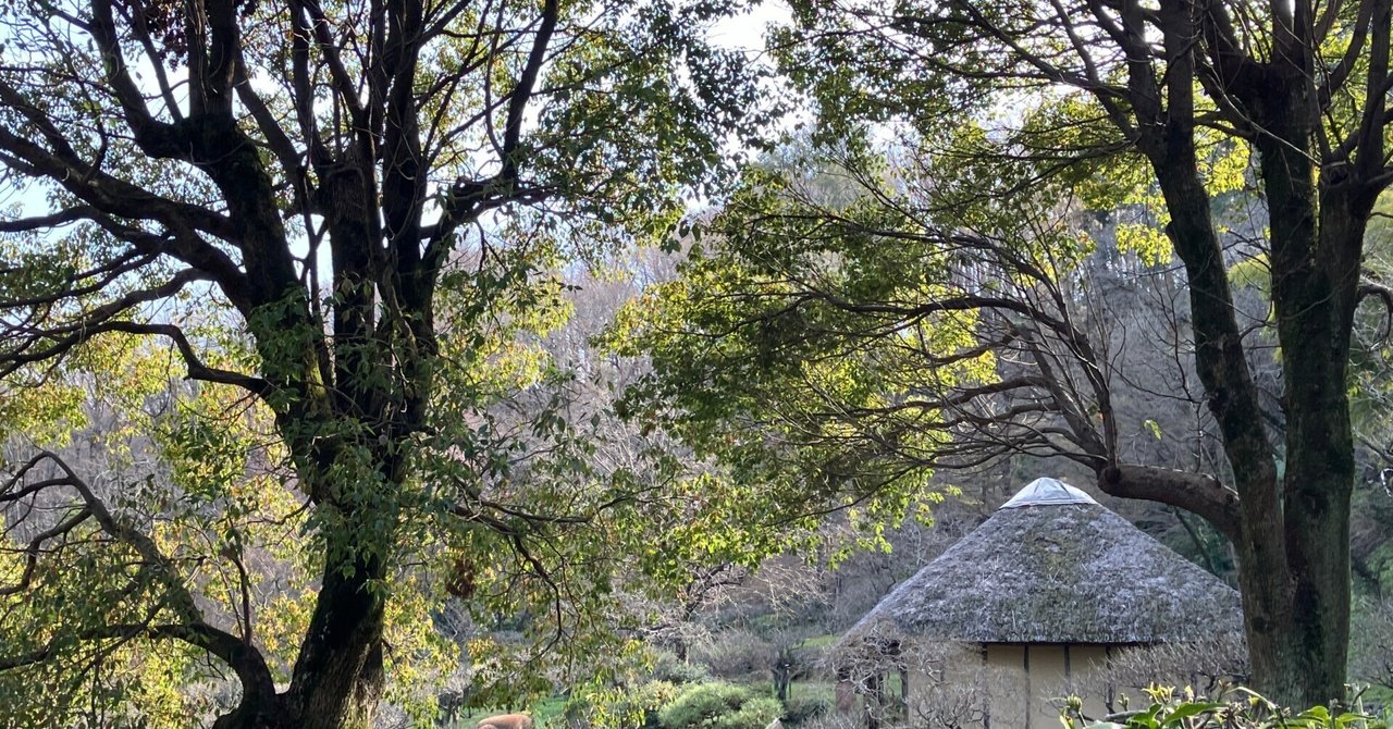 ふと・・・思う｜poporin