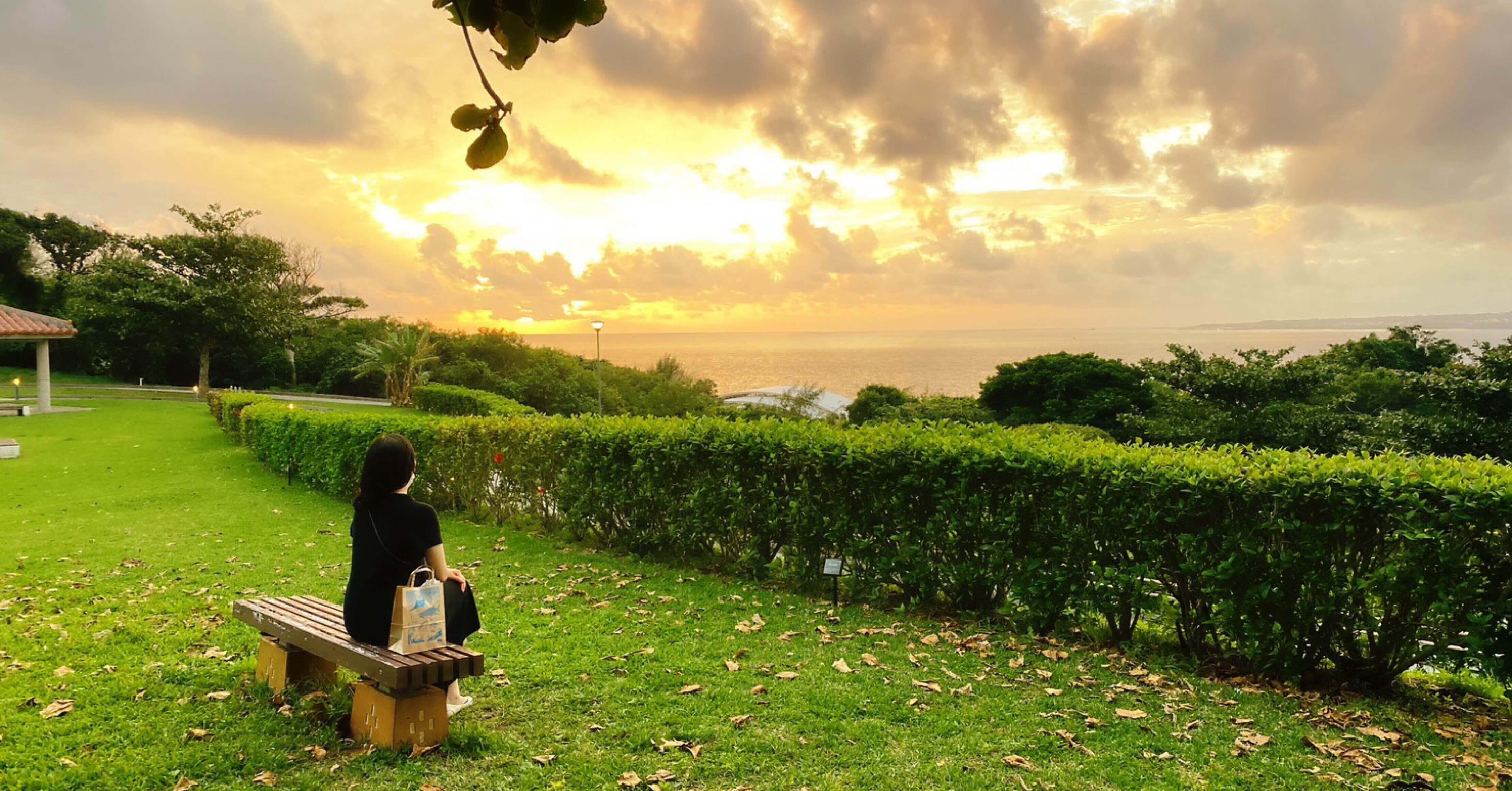 AYAMI SHE11期海外コミュサポ隊｜note