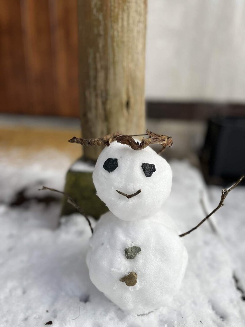 自然に埋没して見えるもの｜Tomoharu