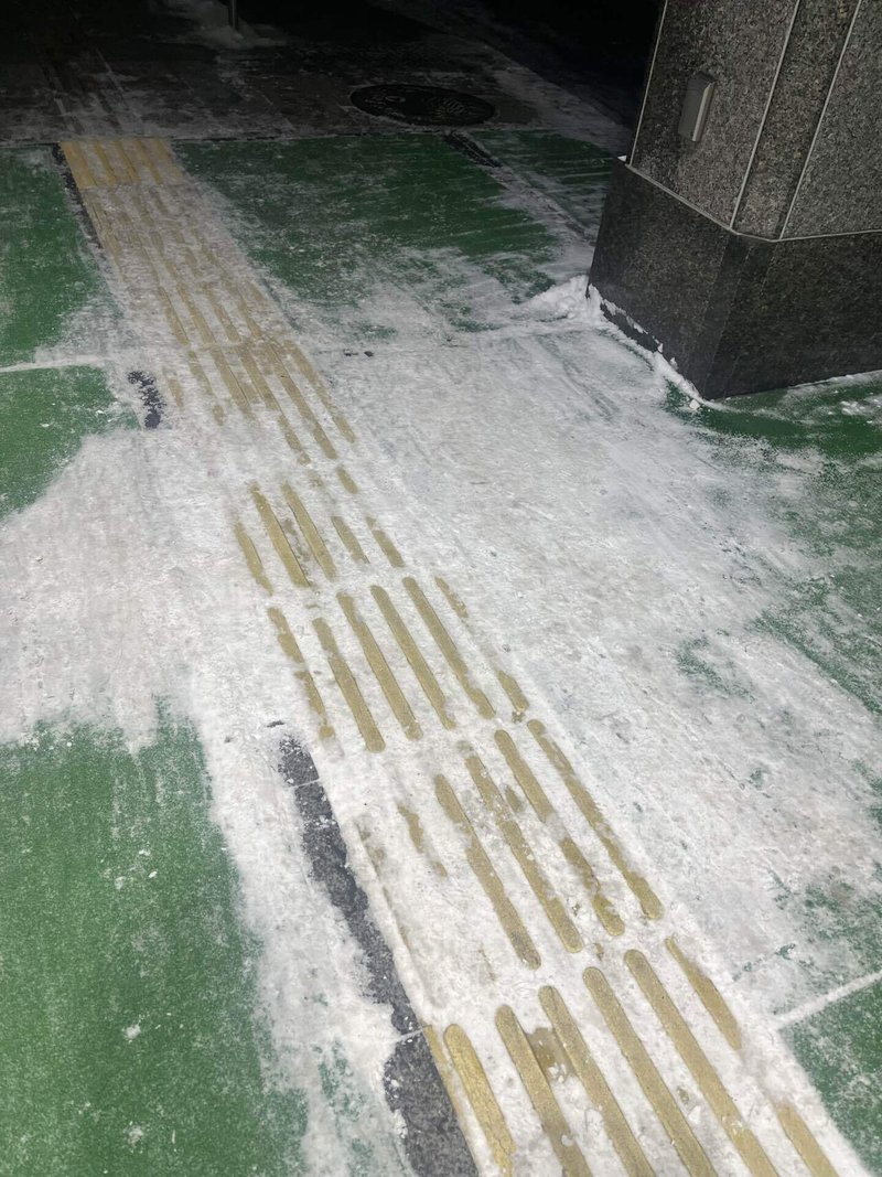 自然に埋没して見えるもの｜Tomoharu