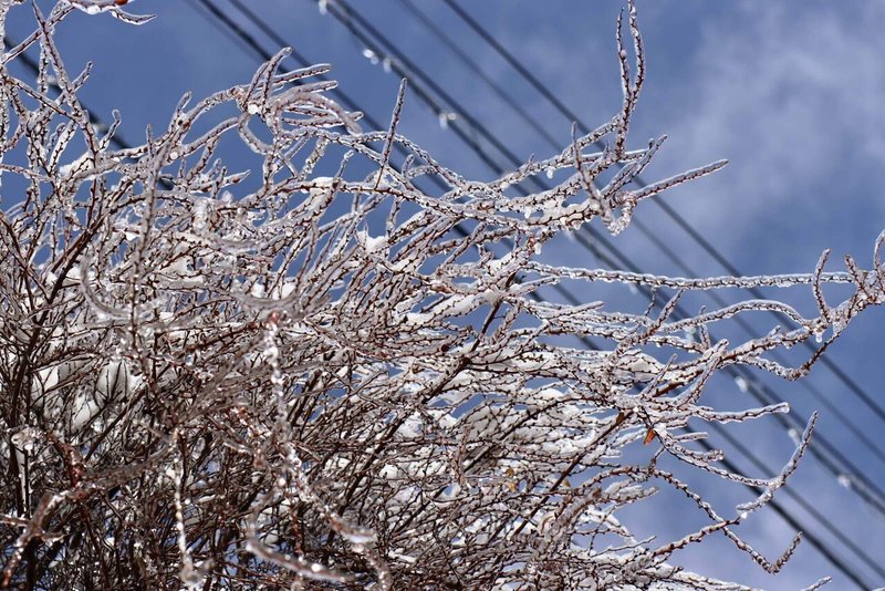 自然に埋没して見えるもの｜Tomoharu