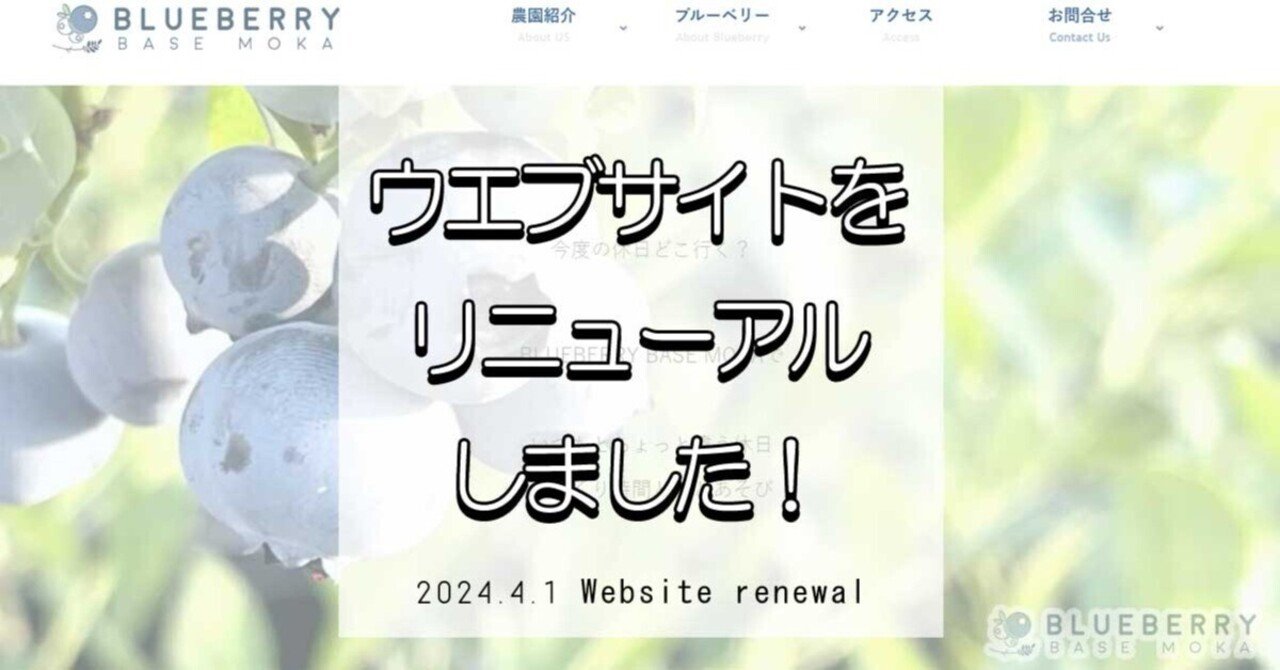 ウエブサイトをリニューアルしました｜BLUEBERRY BASE MOKA