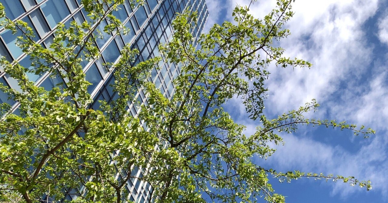 働くことについて｜isake