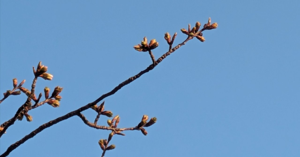 2巻242番~作者 弓削皇子｜ichiro70