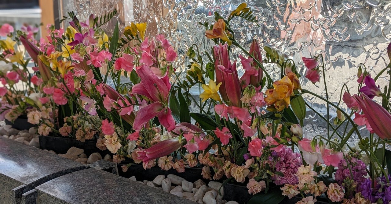 はじめまして｜riko nori