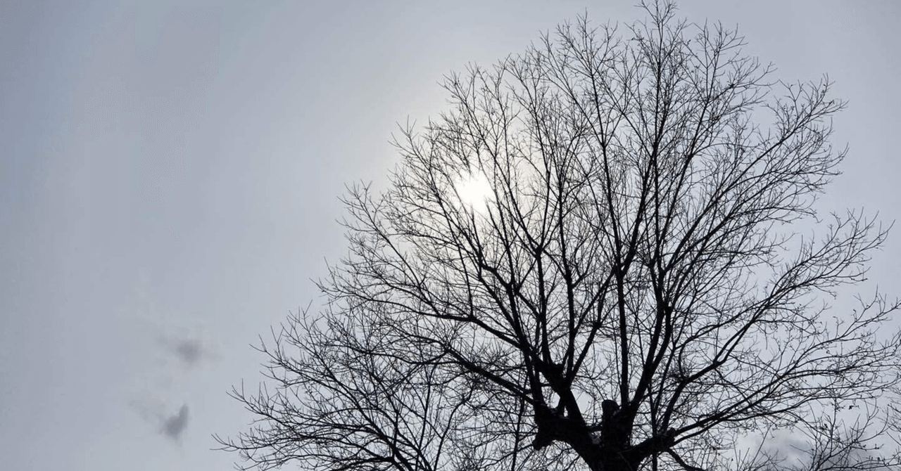 無意識、素直さ、そして自分。｜Makoto Shirasu