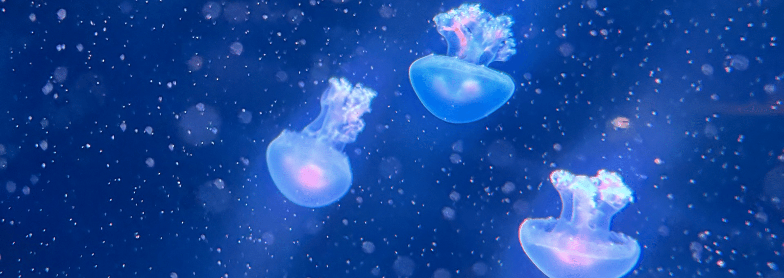 tomomo_nihao友も｜note