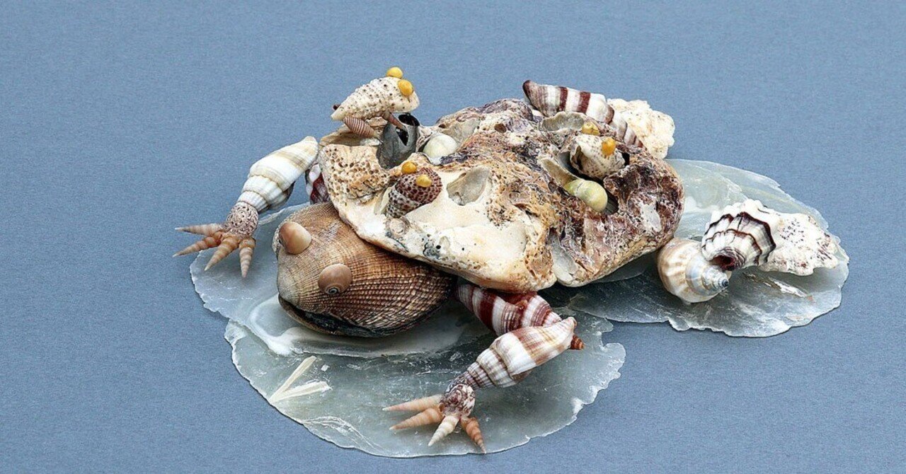 「ピパピパ」｜zoo_shell