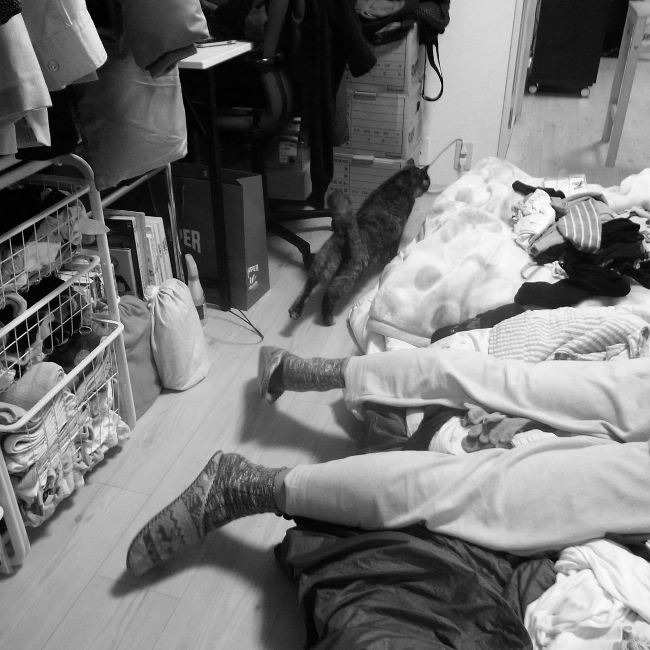 ちょっと通りますよ｜Trospercc