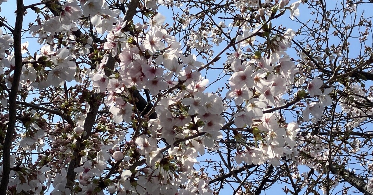 ふと・・・思う｜poporin