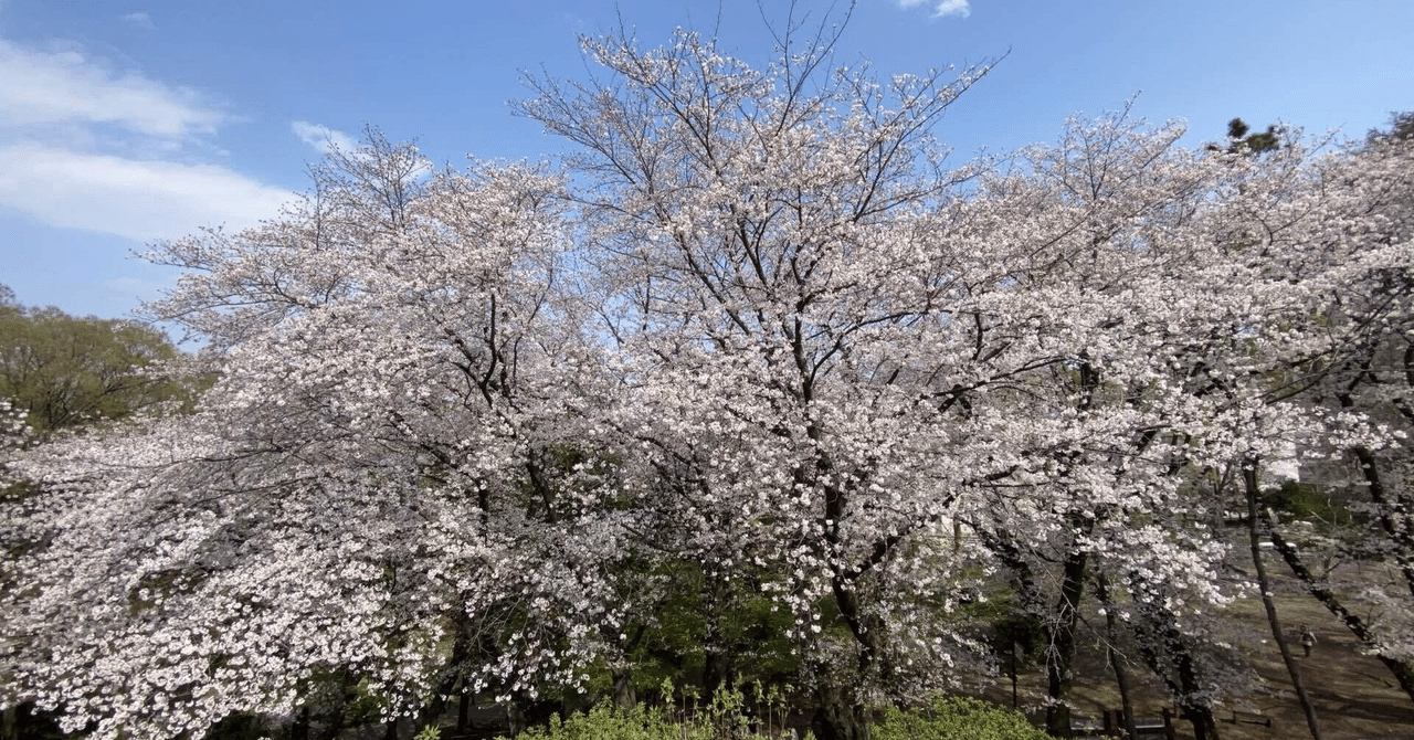 最近よく考えたら衝撃受けたこと。｜hitomi_upgrade