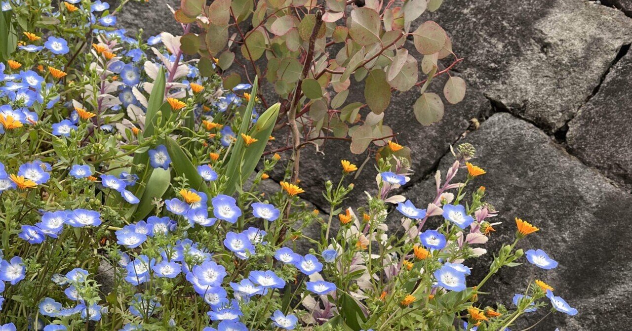 いのこり｜yukkey