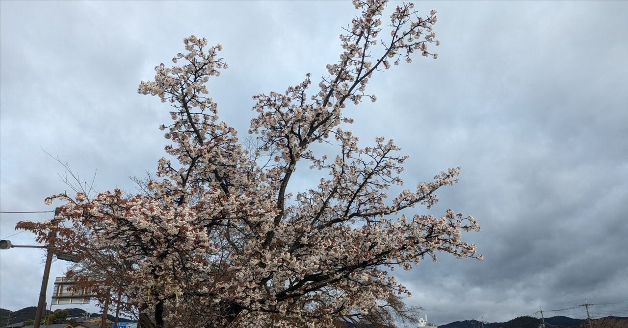 『里恋詩くて・・・熊野・高野』紀伊を愛した怒涛詩人さとちゃんを忘れない【469】｜ichiro70