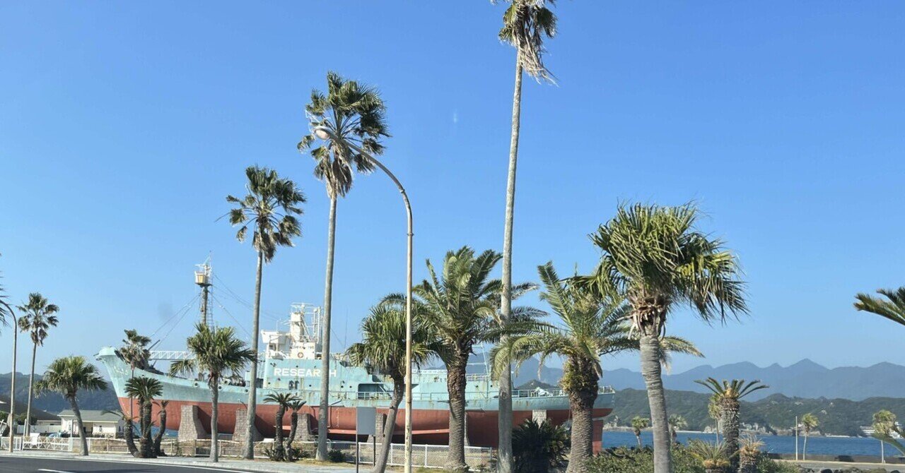 イルカと過去世の話｜mayuko⚓︎本来の自分を生きる