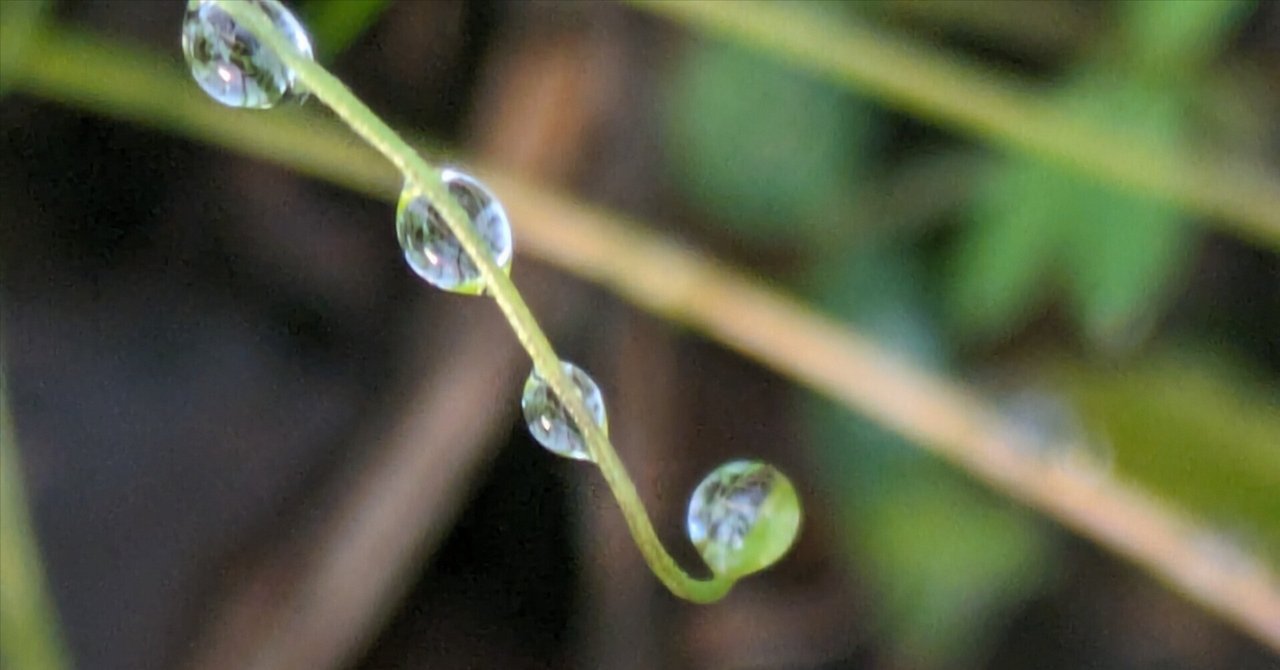 笑ったり泣いたりの動画｜ichiro70