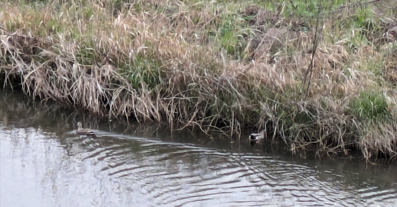 2巻245番~作者 長田王｜ichiro70